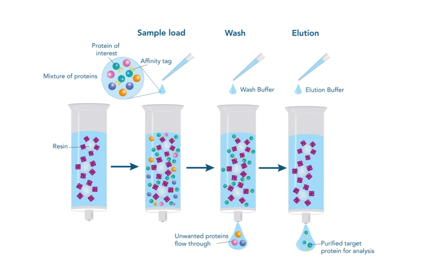Purifikasi Protein Rekombinan dengan Metode His-tag atau Strep-tag ...
